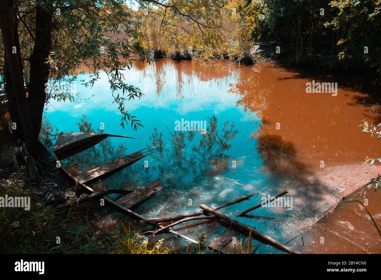 Rowing boat in a swamp Stock Photo - Alamy