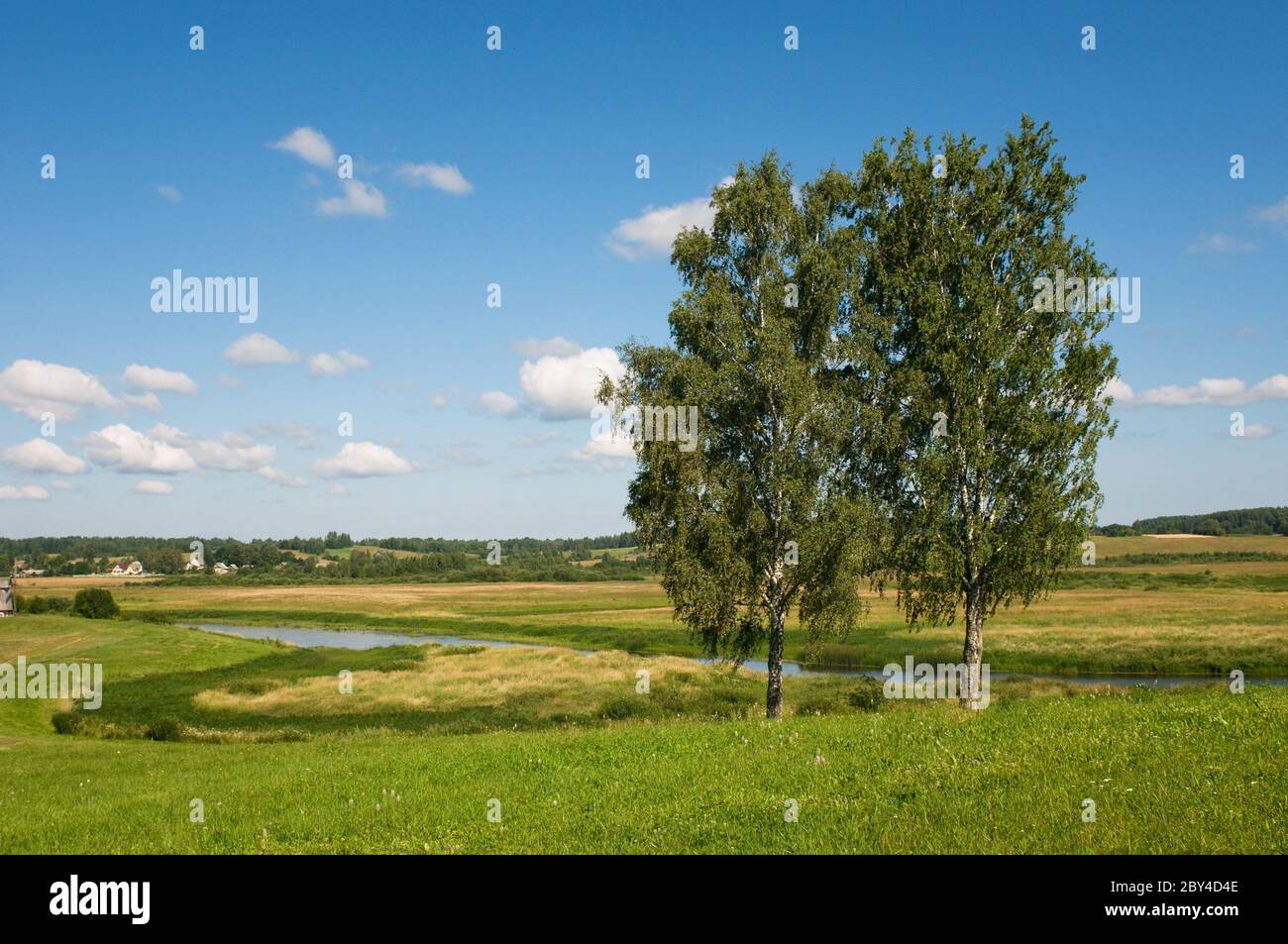 rural landscape with two trees Stock Photo - Alamy