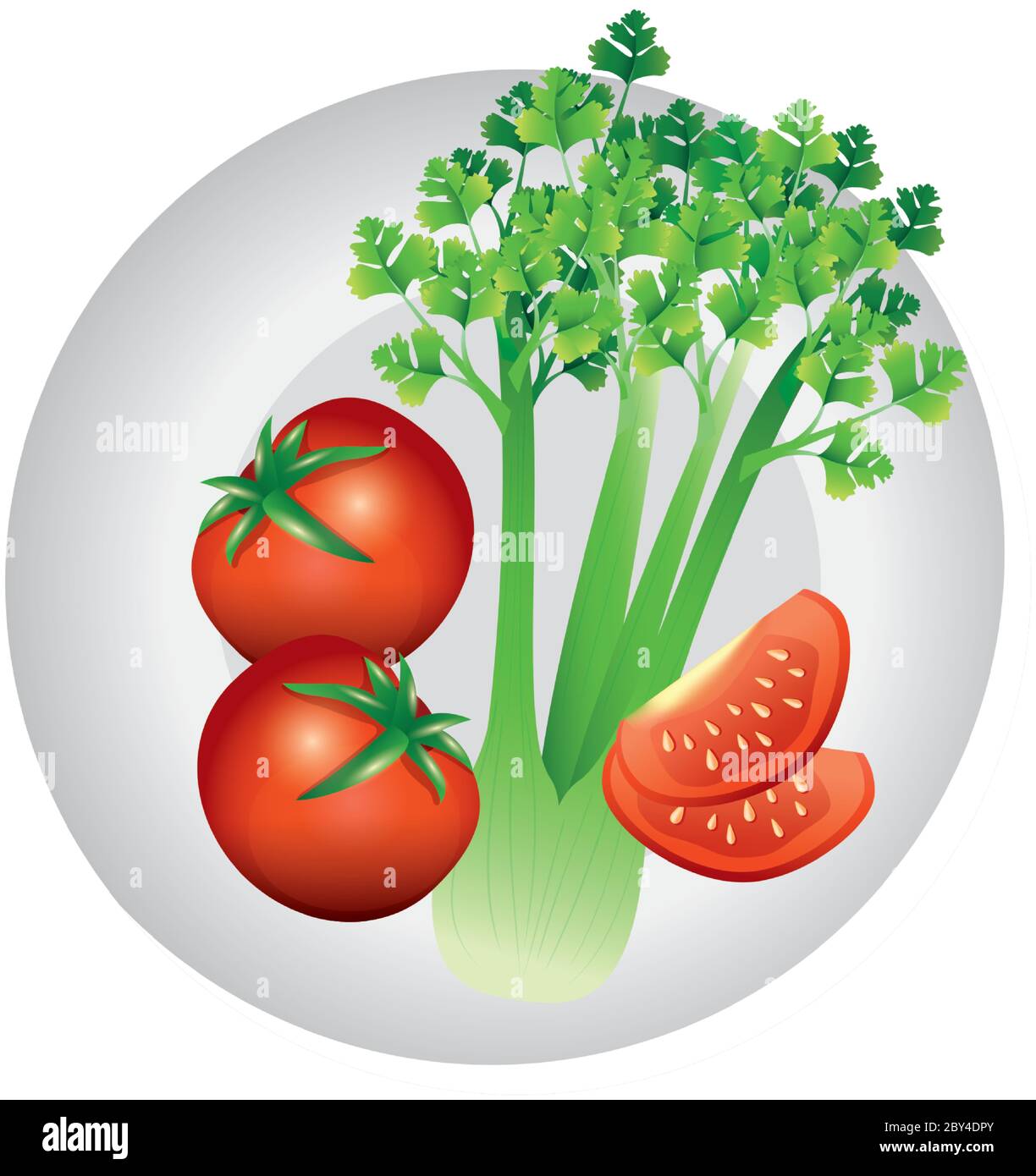 Supermarket celery Stock Vector Images - Alamy