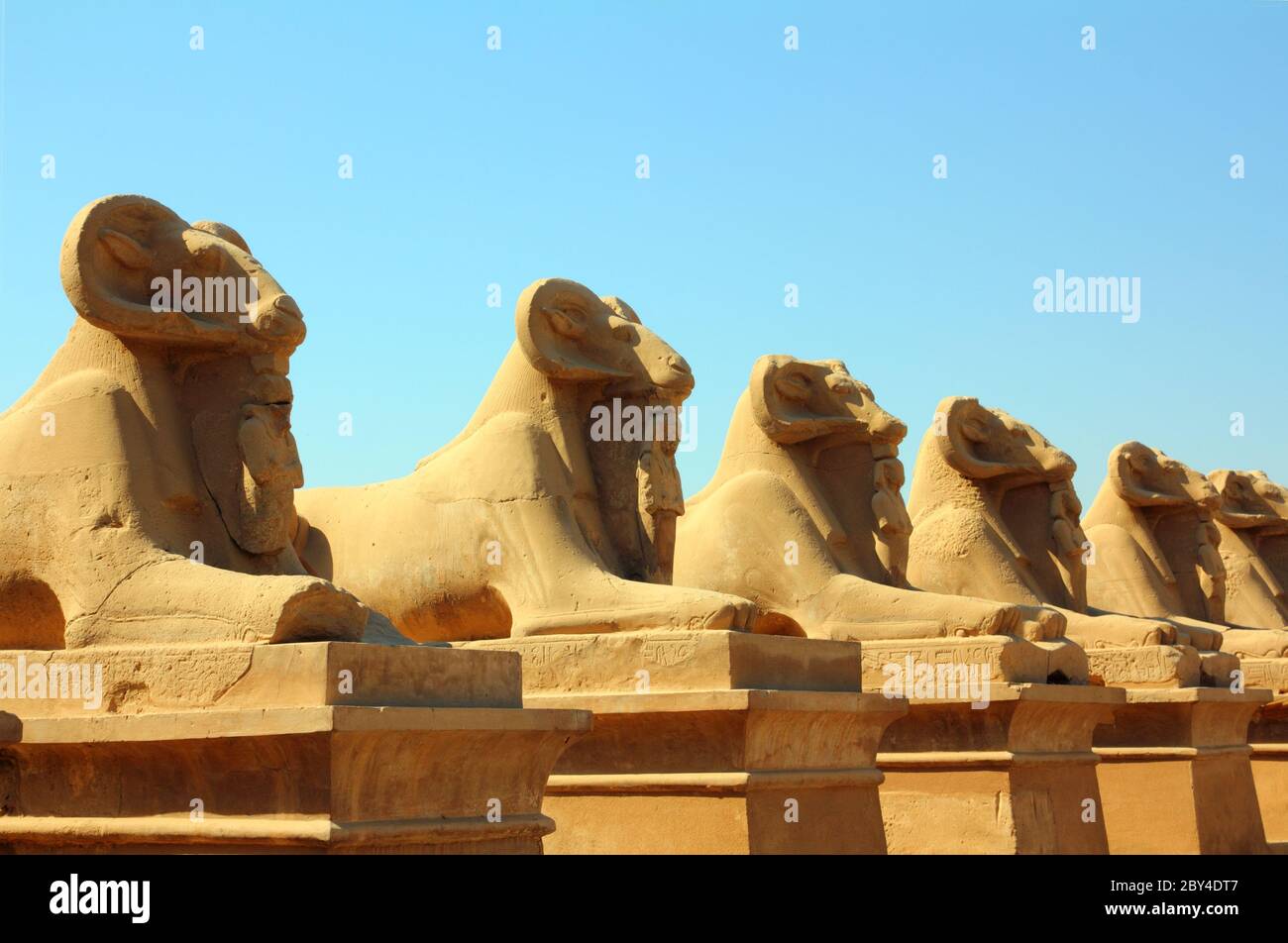 egypt statues of sphinx in karnak temple Stock Photo - Alamy