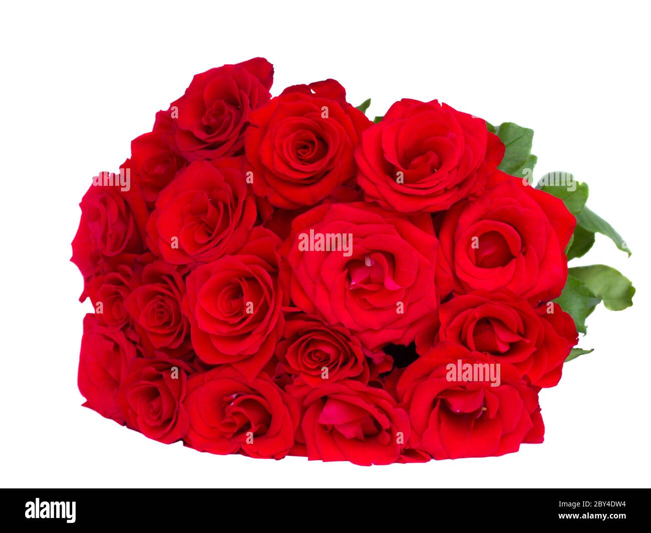 Scarlet birthday hi-res stock photography and images - Alamy