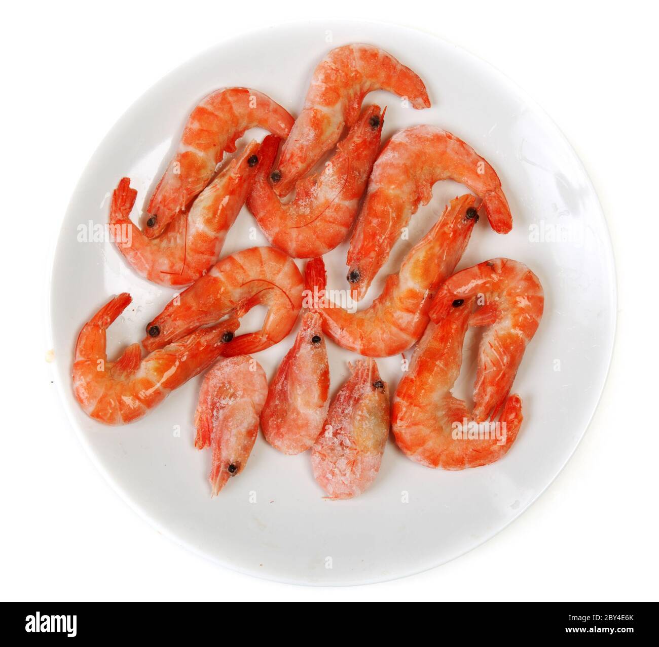 Plate frozen prawns Stock Photo - Alamy