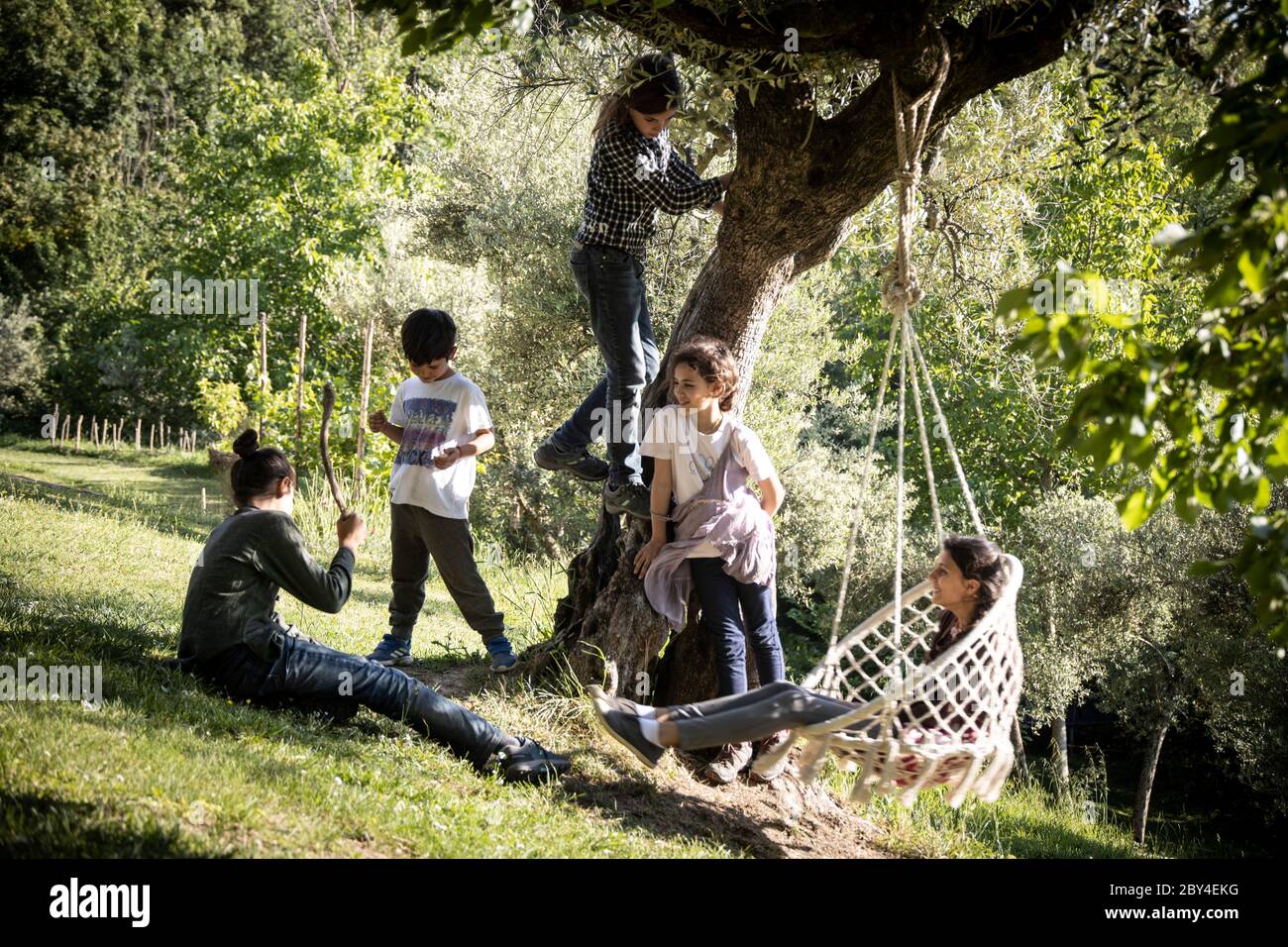 Group of kids playing around a big tree in a setting of peace and ...