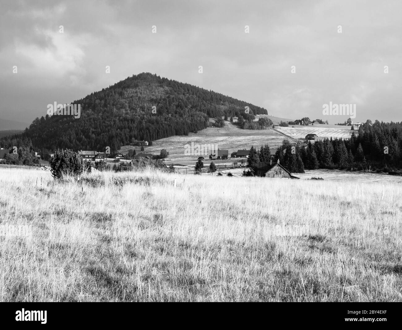 Green grass building Black and White Stock Photos & Images - Alamy