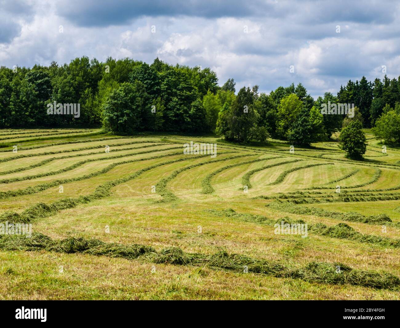 Digital wallpaper hi-res stock photography and images - Alamy