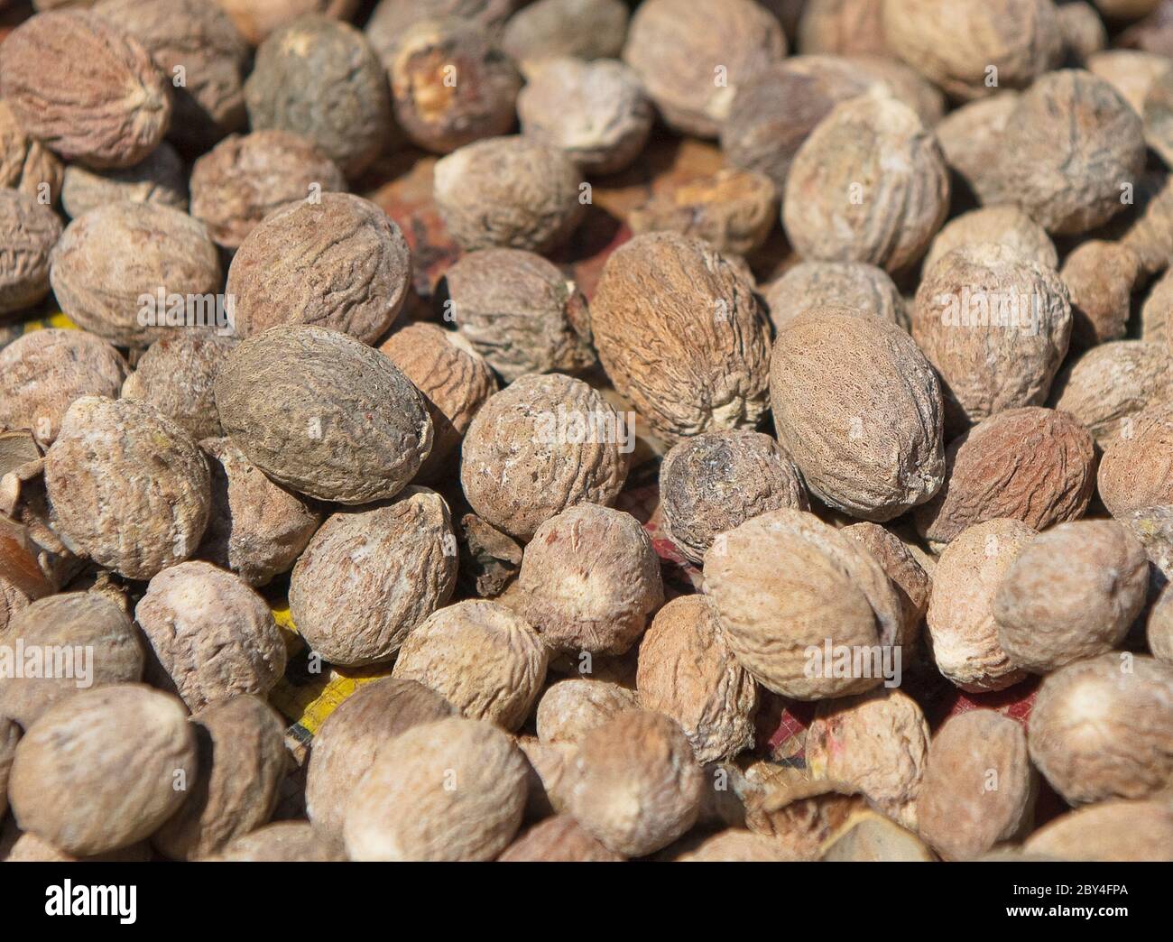 Nutmeg islands hi-res stock photography and images - Alamy