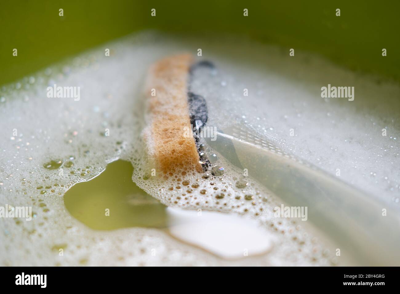Close-up of a generic washing up disk sponge and handle seen in a ...