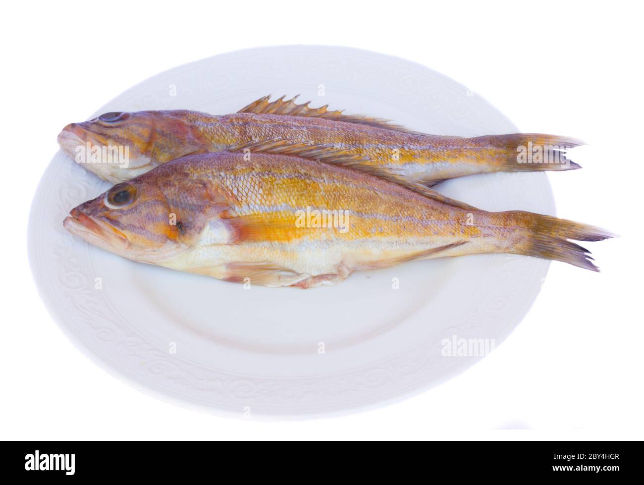 Whole plate Cut Out Stock Images & Pictures - Alamy