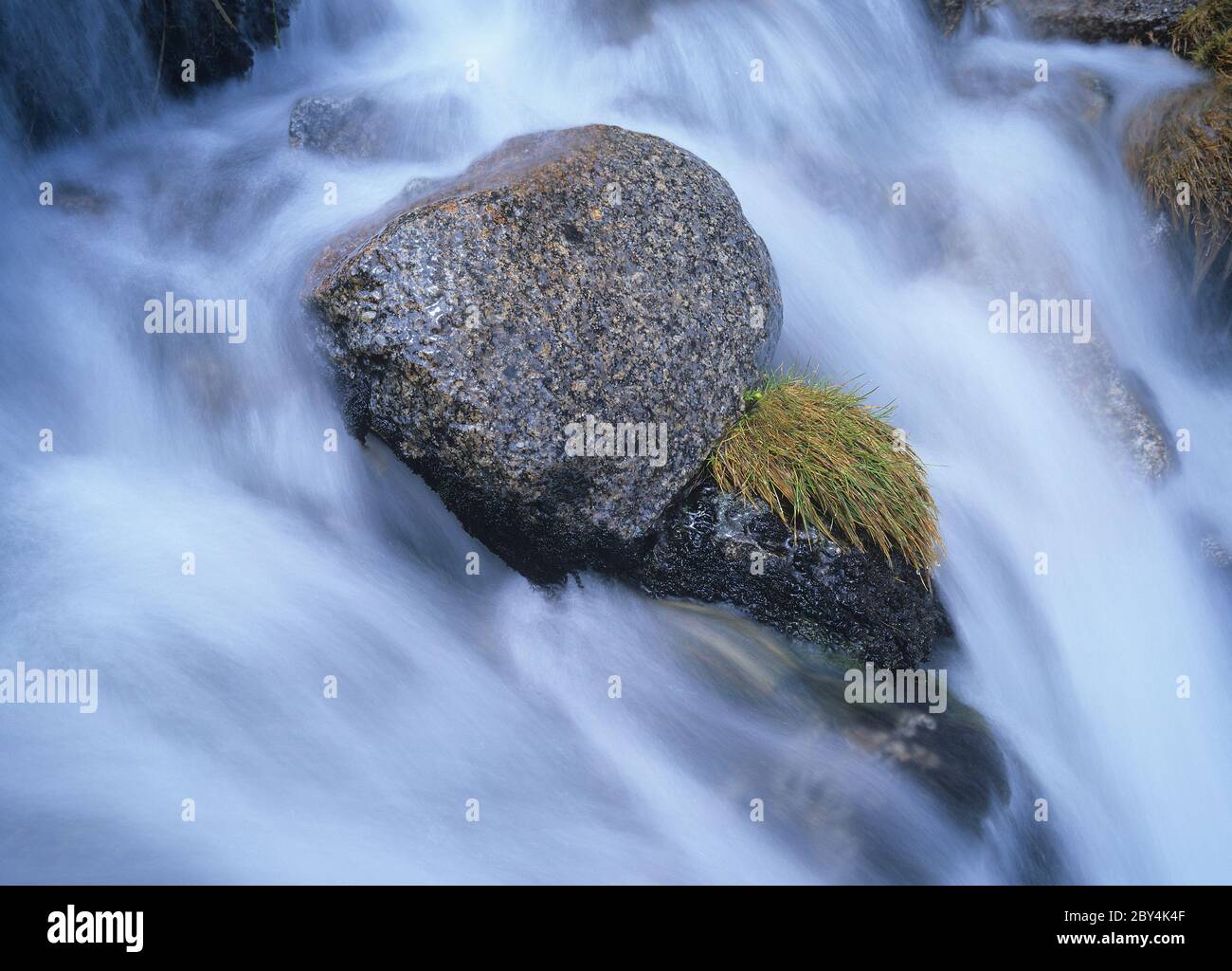Rock in a mountain stream Stock Photo - Alamy