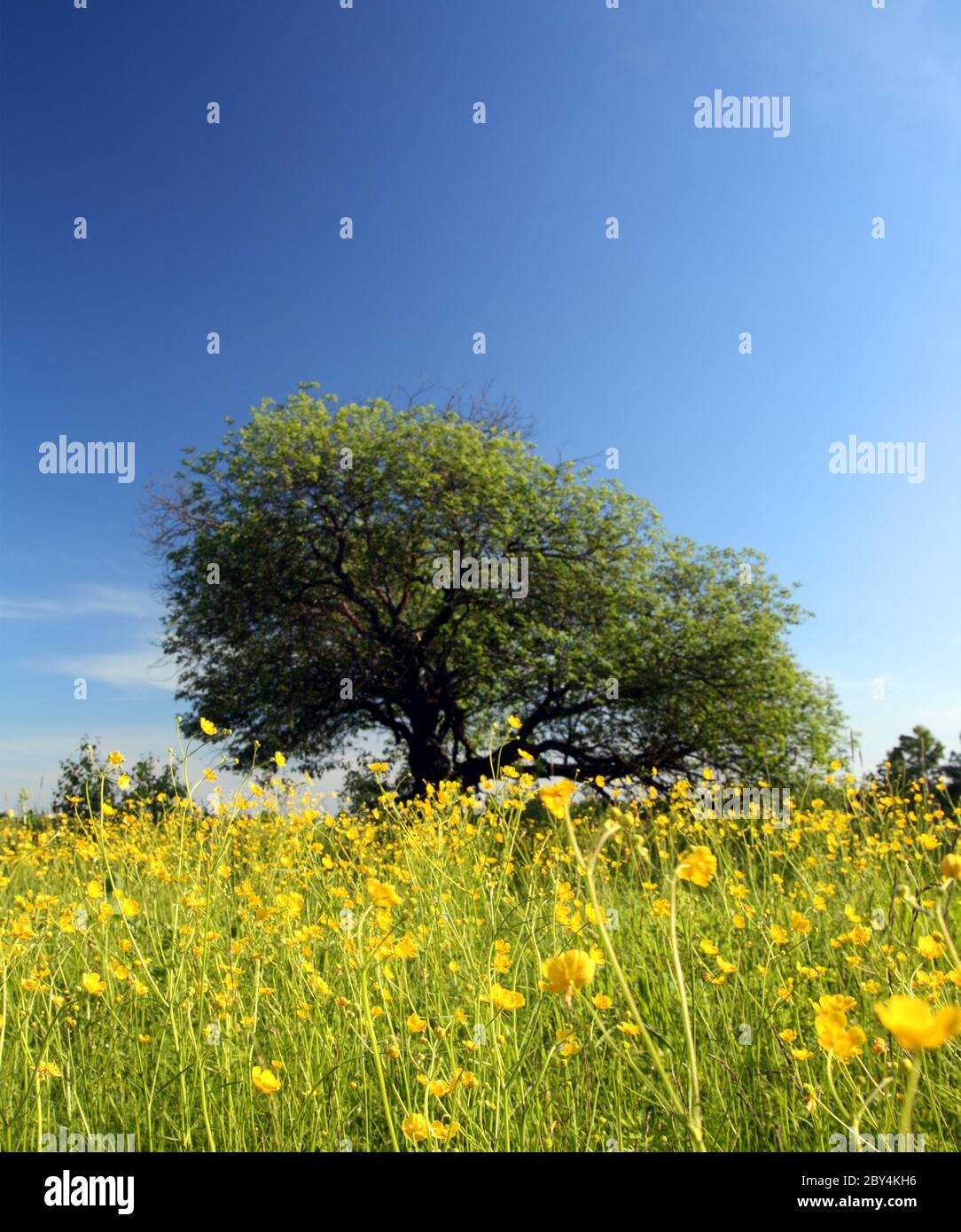 Strange environment hi-res stock photography and images - Alamy