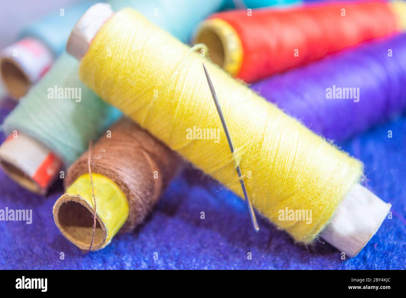 Multi needle sewing machine hi-res stock photography and images - Alamy