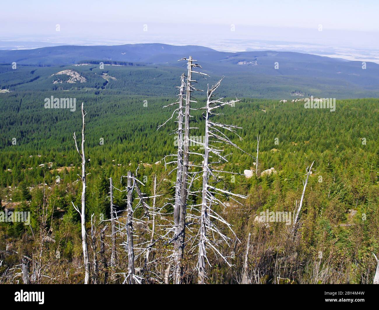 White mountains national forest train hi-res stock photography and ...