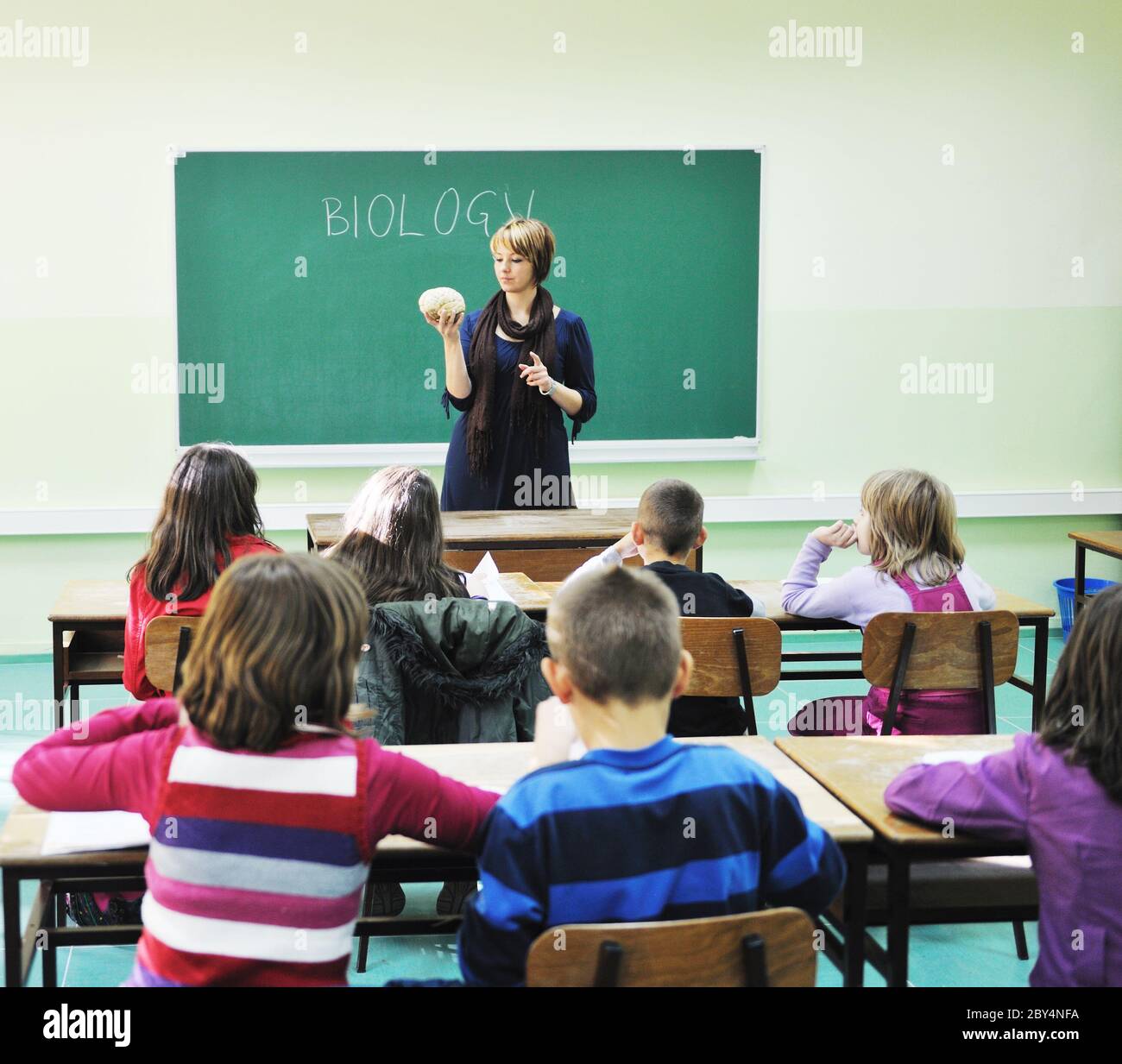 learn biology in school Stock Photo - Alamy