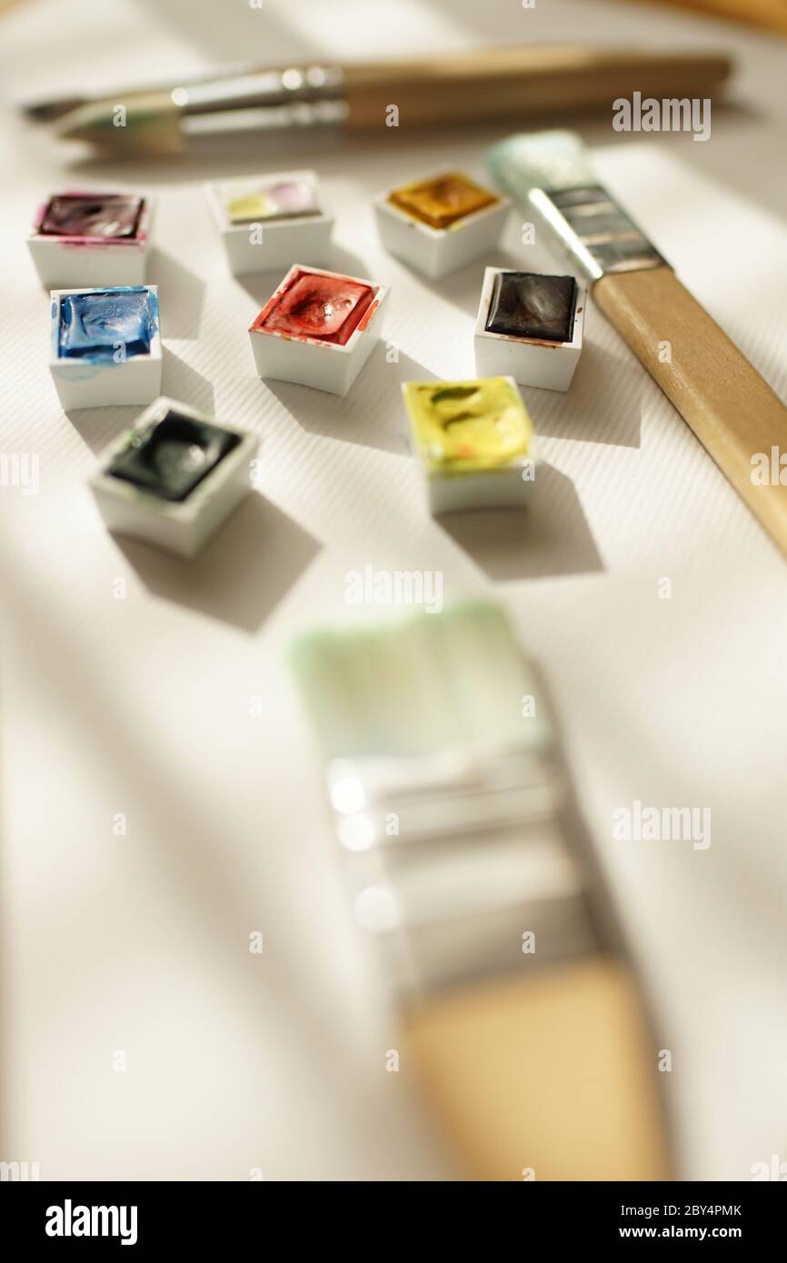 Plastic cells with watercolor paint and brushes for painting on white ...