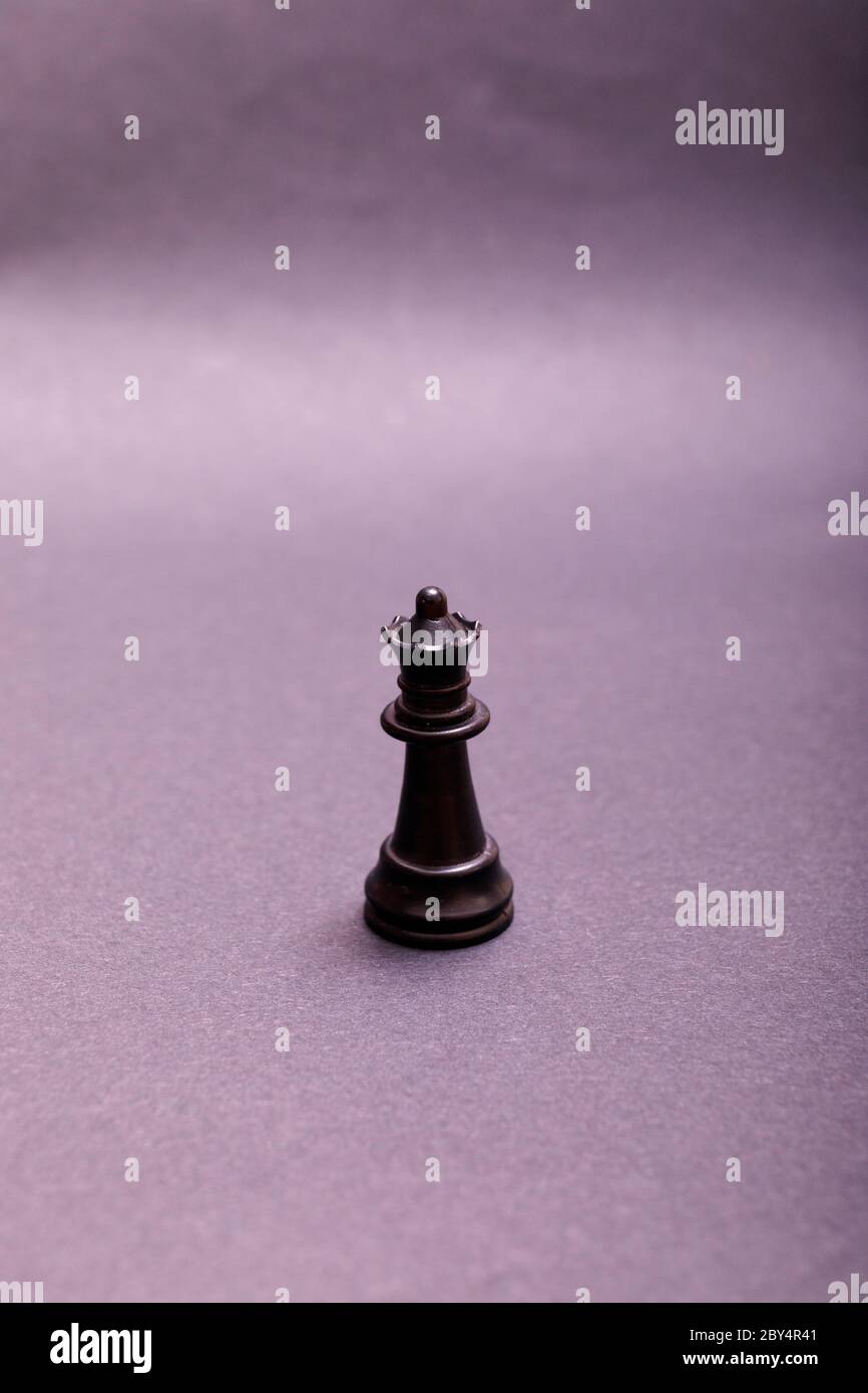 Queen of chess setup on dark background . Leader and teamwork concept ...