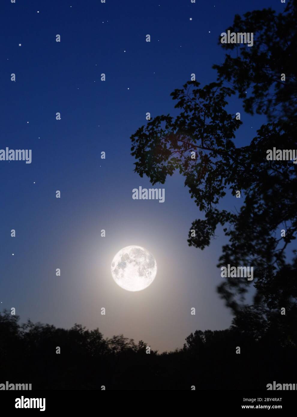 moon and tree Stock Photo - Alamy