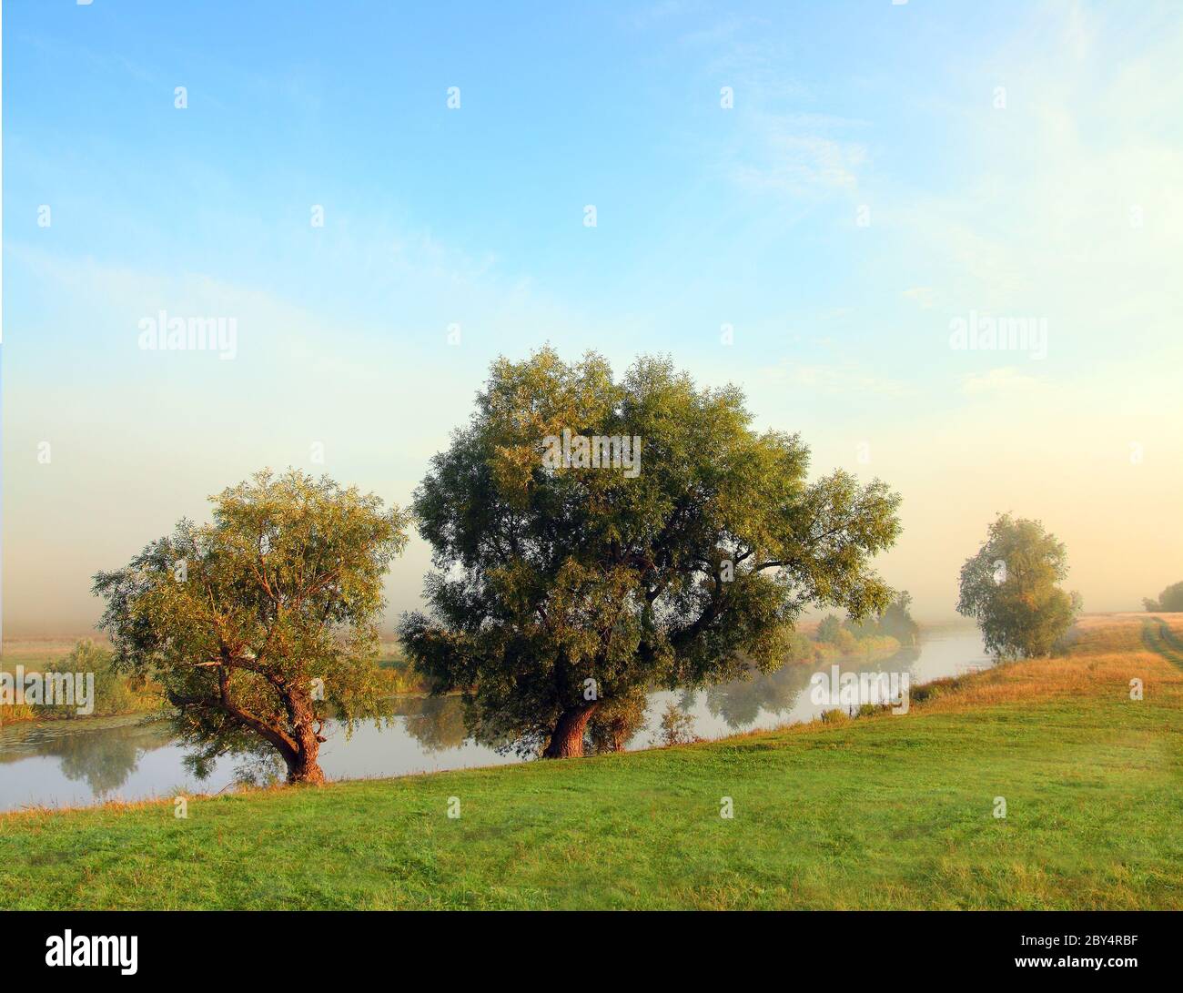 lake landscape with trees in fog Stock Photo - Alamy