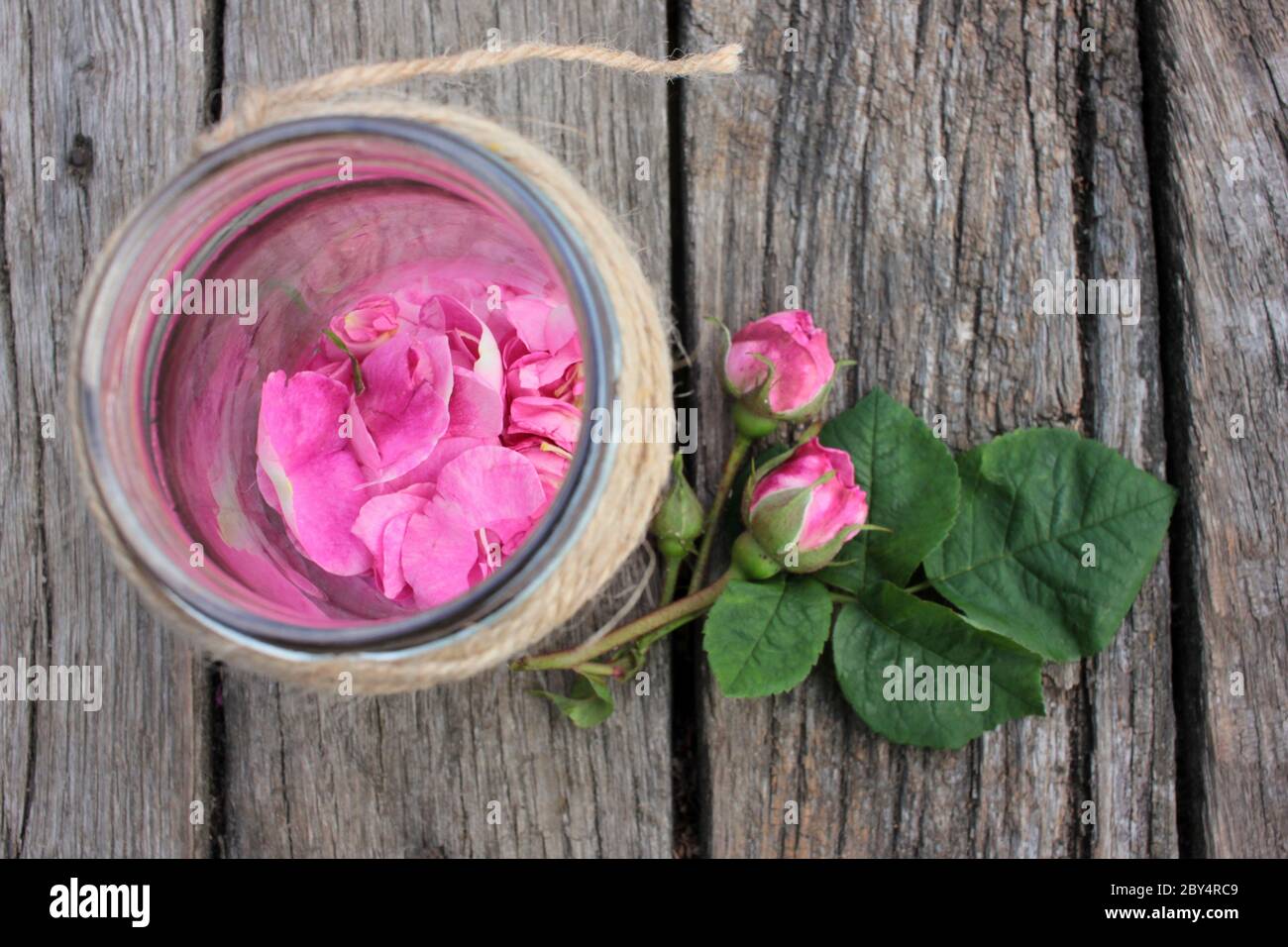 Pink tea rose petals in a glass jar, buds, and flowers on rustic wooden ...