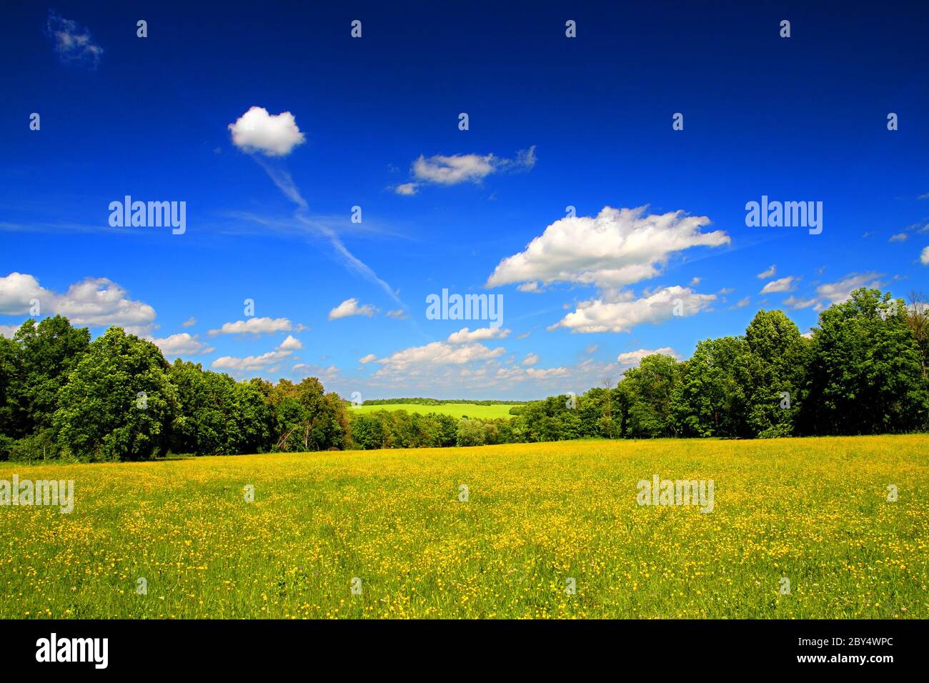 Bright summer landscape hi-res stock photography and images - Alamy