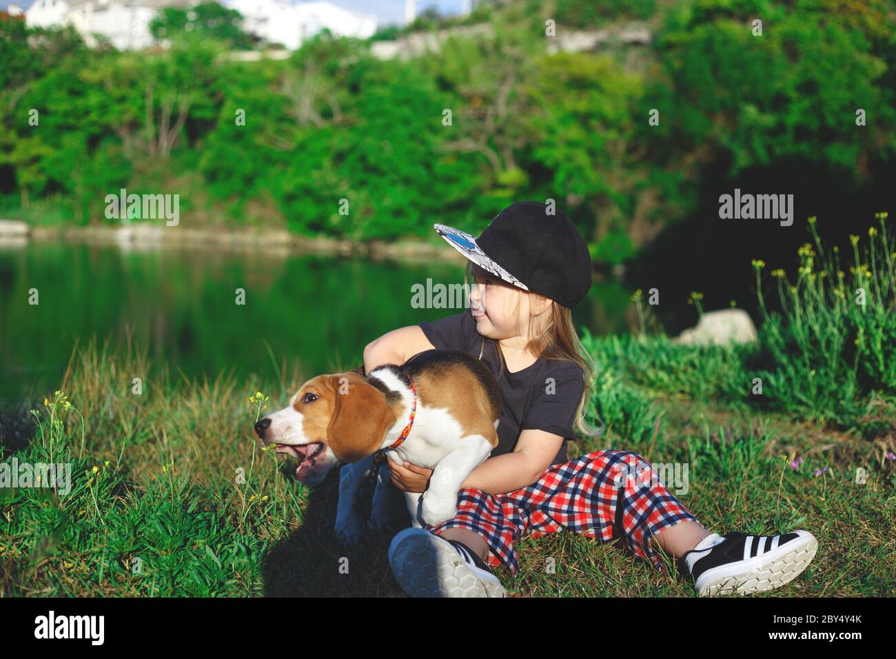 little girl hugs a cute beagle puppy Stock Photo - Alamy