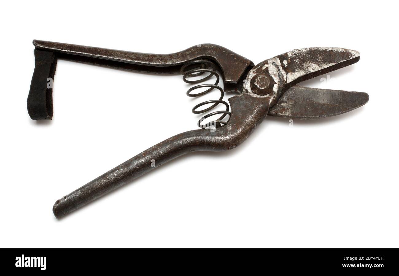 old gardening scissors Stock Photo - Alamy