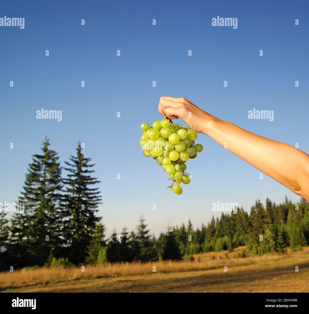 Cluster hand hi-res stock photography and images - Alamy