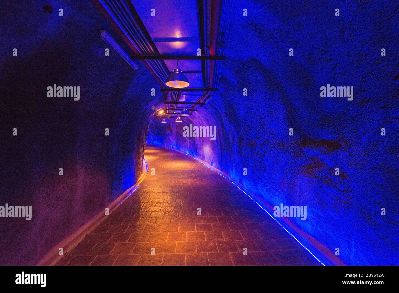 The Opium Museum or Hall of Opium in the town of Sop Ruak in the golden ...