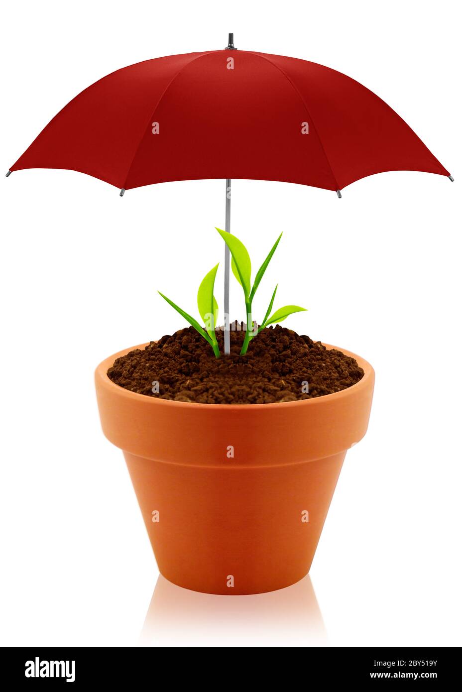 Tree growing into house Cut Out Stock Images & Pictures - Alamy