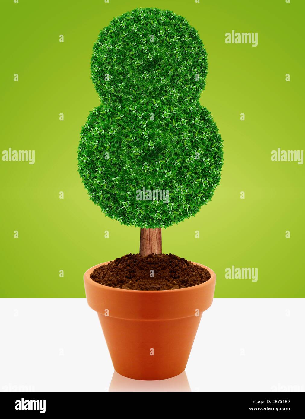 Small green tree Stock Photo - Alamy
