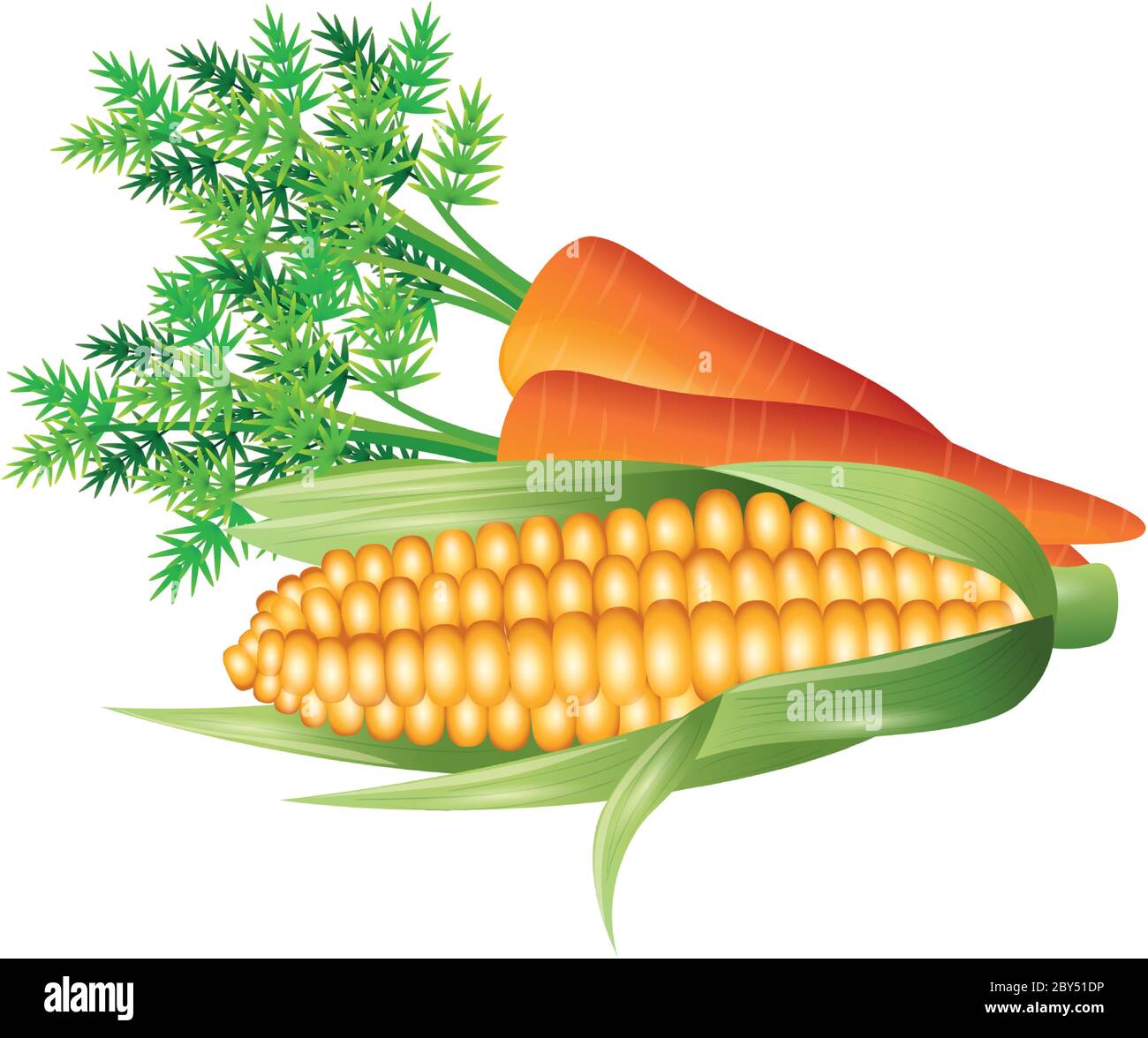 carrot and corn vegetable vector design Stock Vector Image & Art - Alamy