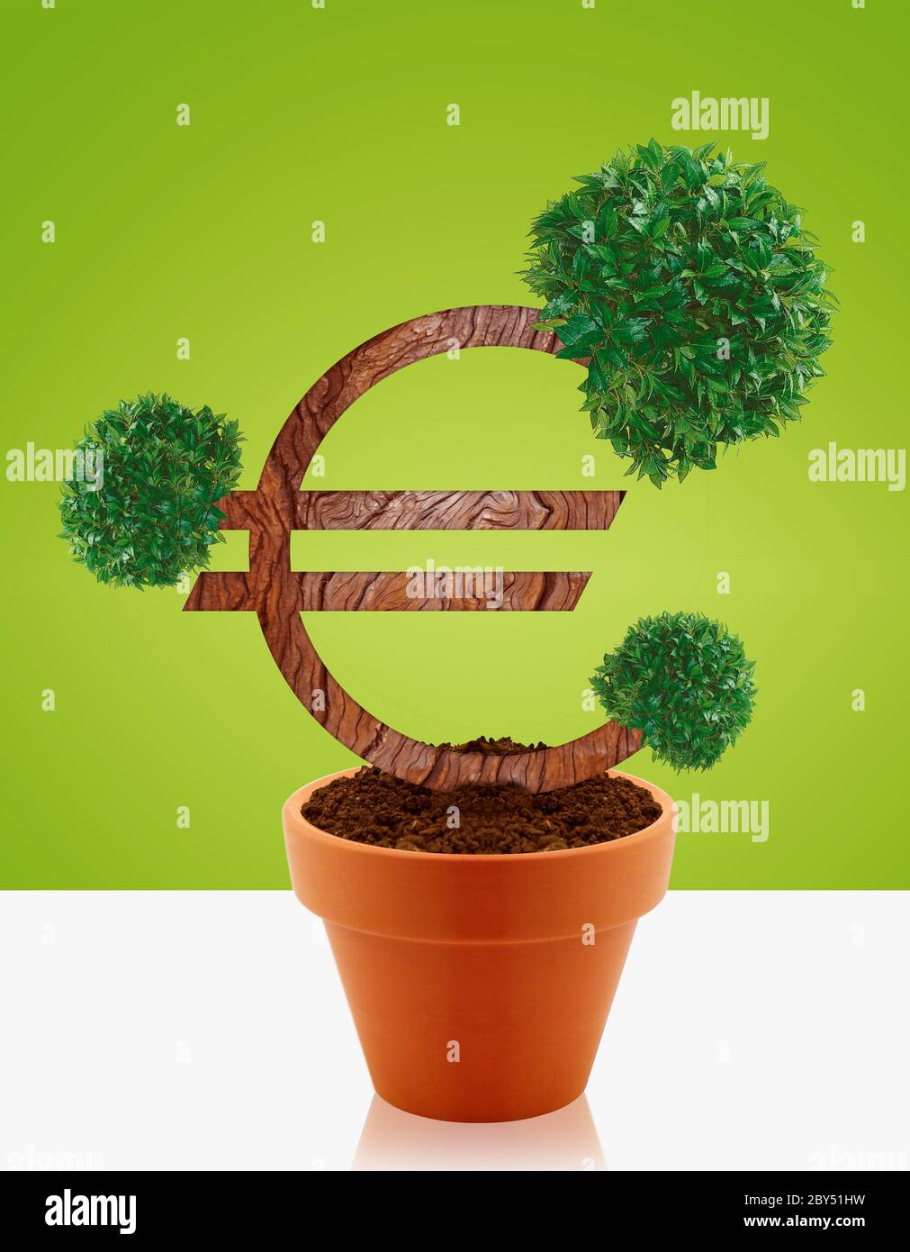 Tree branch money hi-res stock photography and images - Alamy