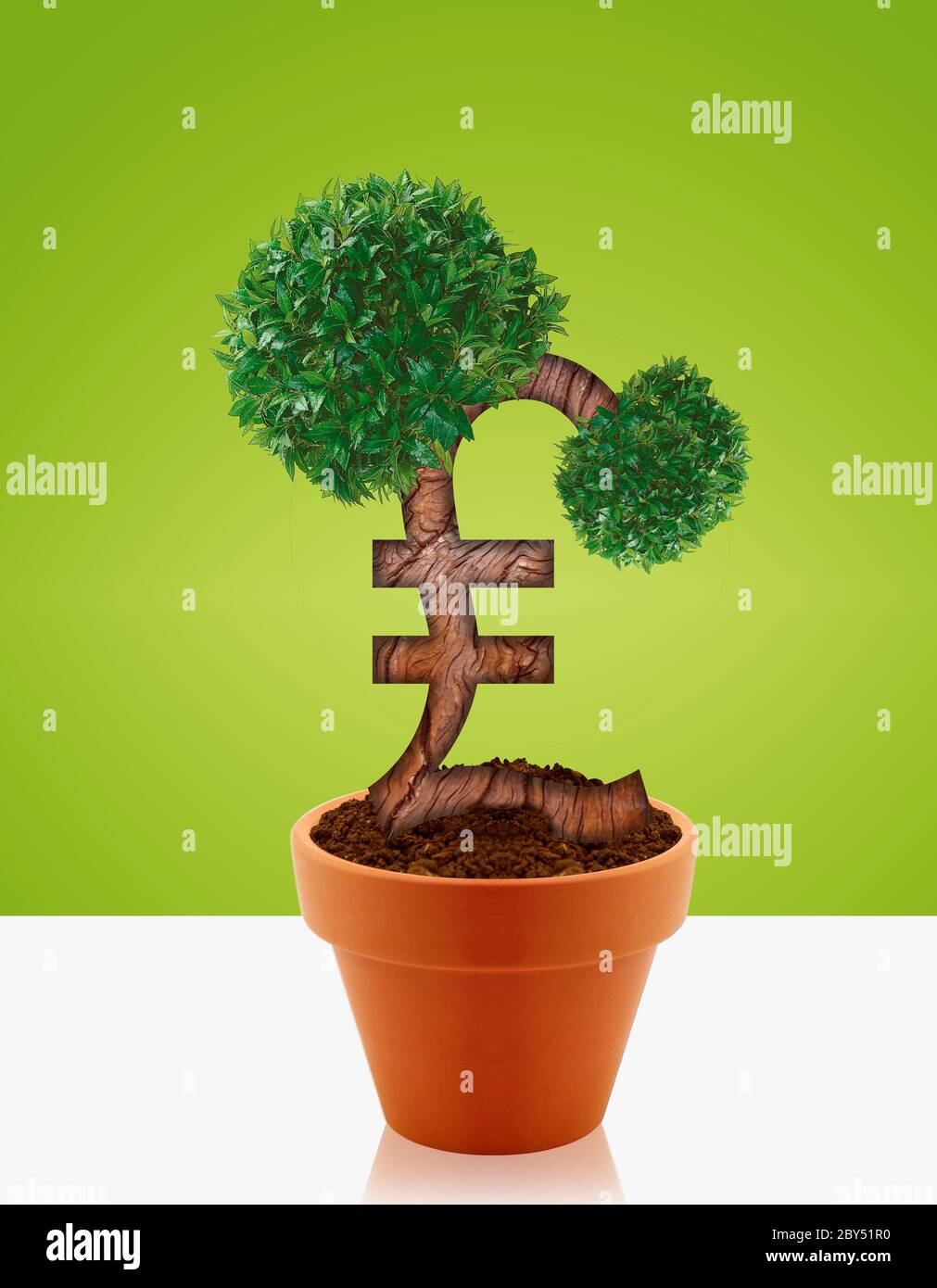 Lira tree hi-res stock photography and images - Alamy