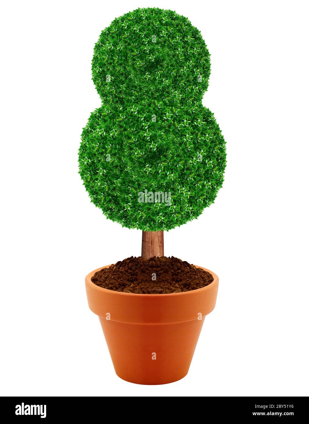 Small green tree Stock Photo - Alamy
