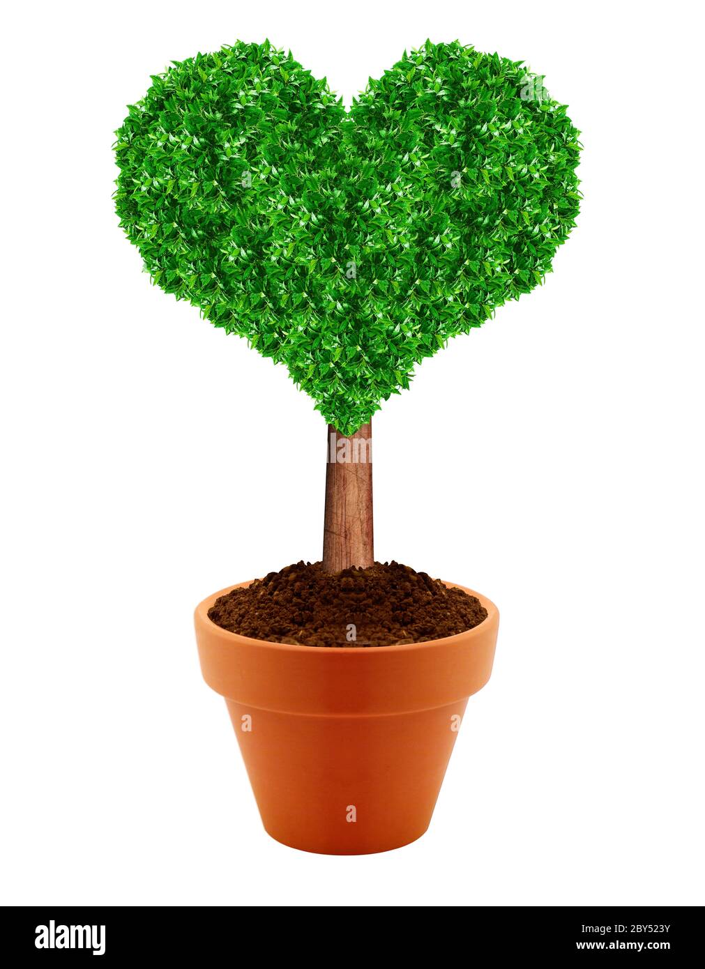 Small green tree Stock Photo - Alamy