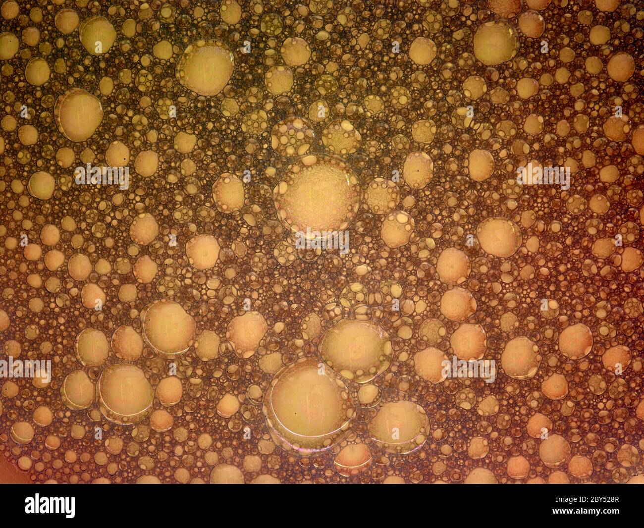 Conceptual close-up still-life of colourful droplets on a liquid ...