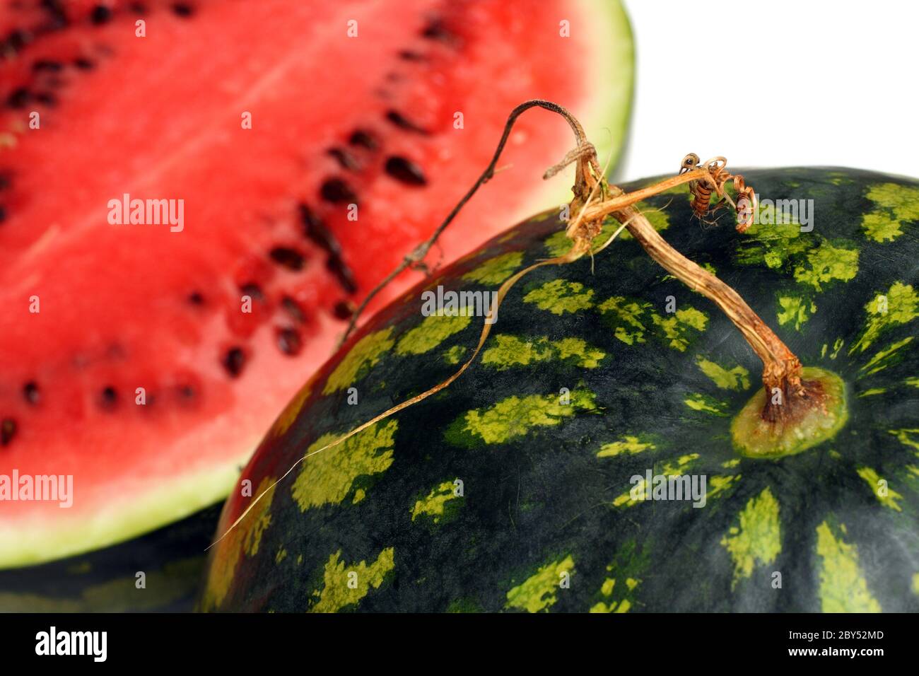 watermelon with dry stem Stock Photo - Alamy