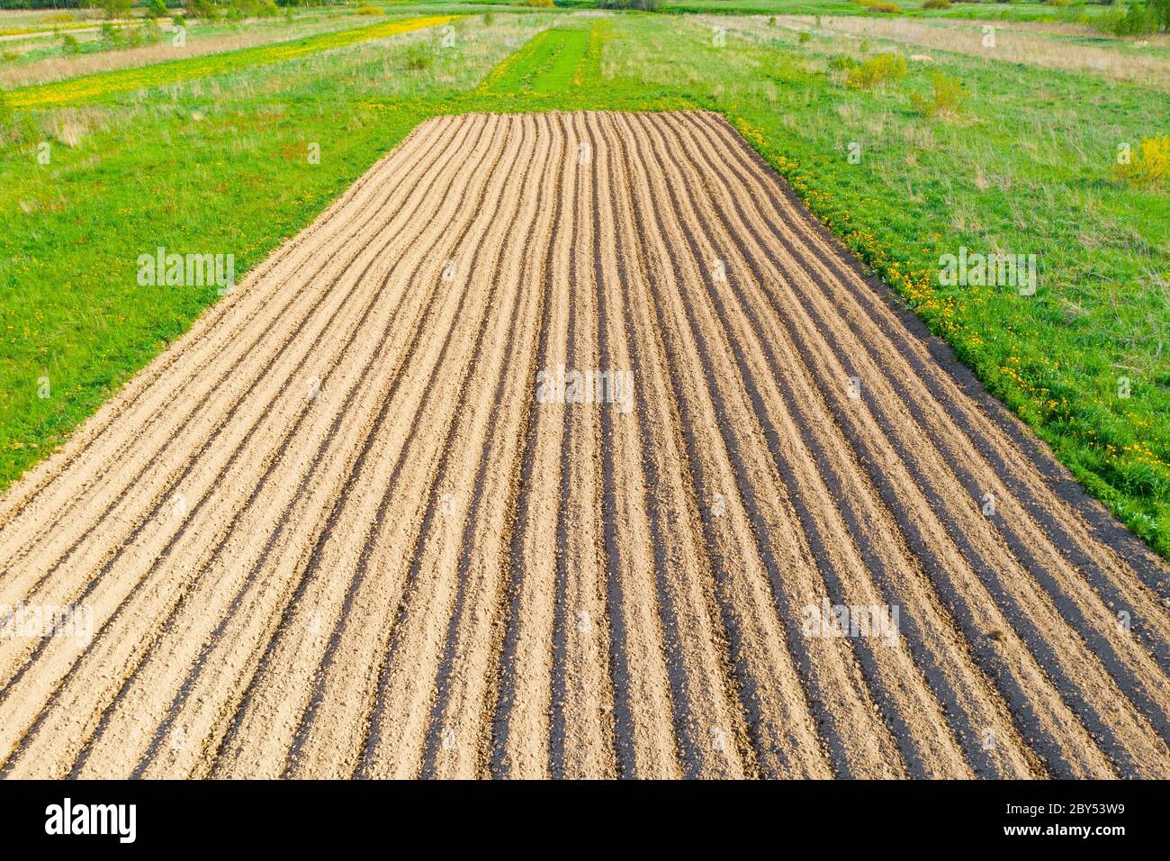Plowing land furrows for planting agronomical plants among the ...
