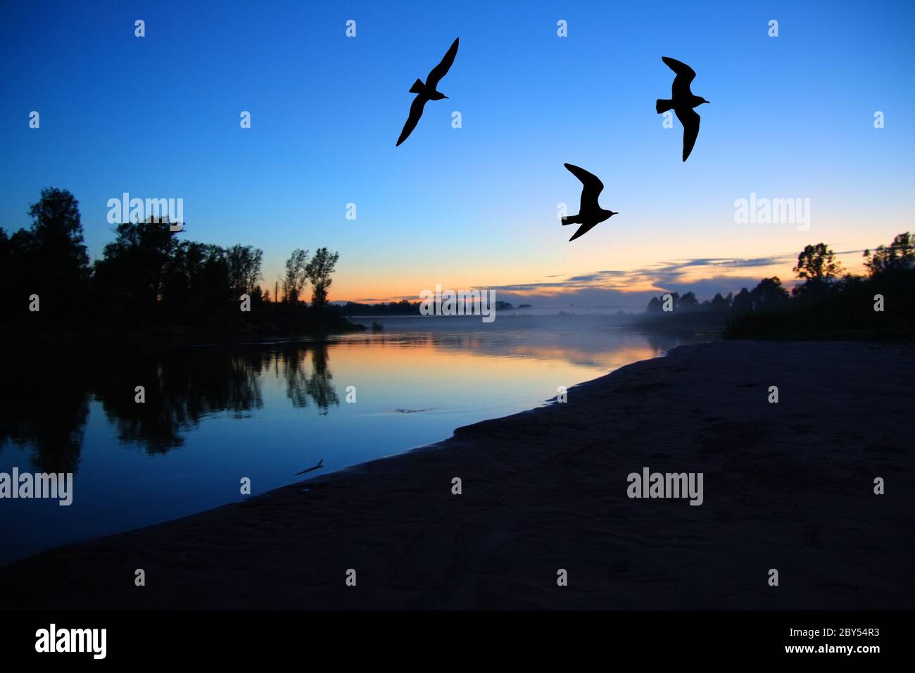 river dusk landscape with gulls Stock Photo - Alamy