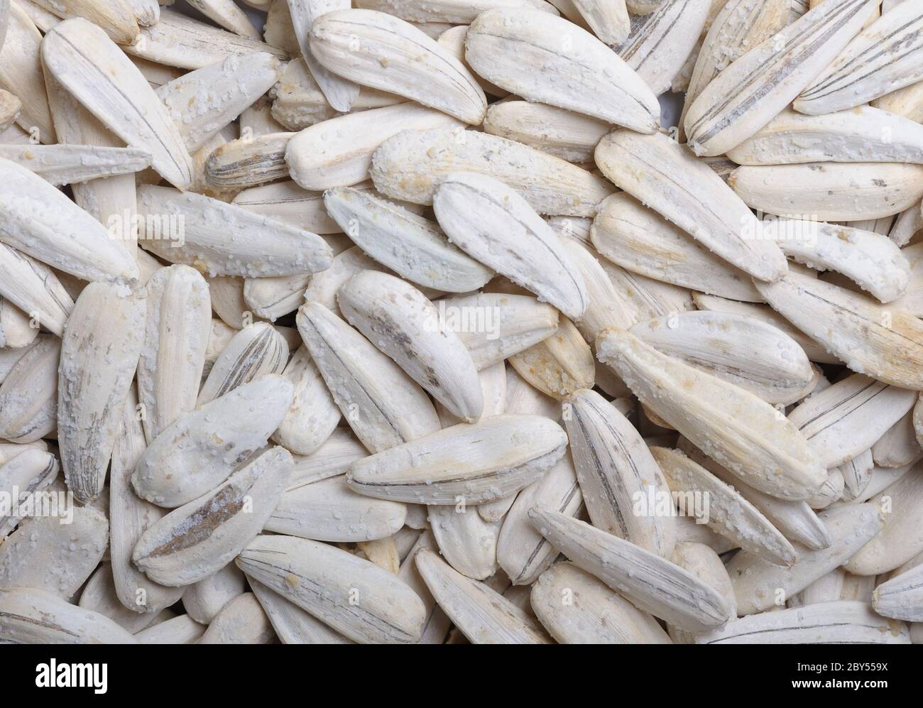 white sunflower seeds Stock Photo - Alamy