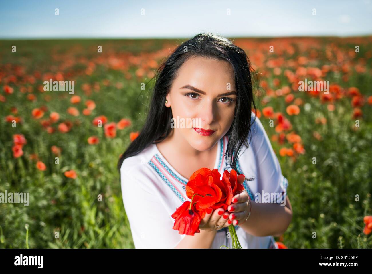 Hand holding poppy hi-res stock photography and images - Alamy