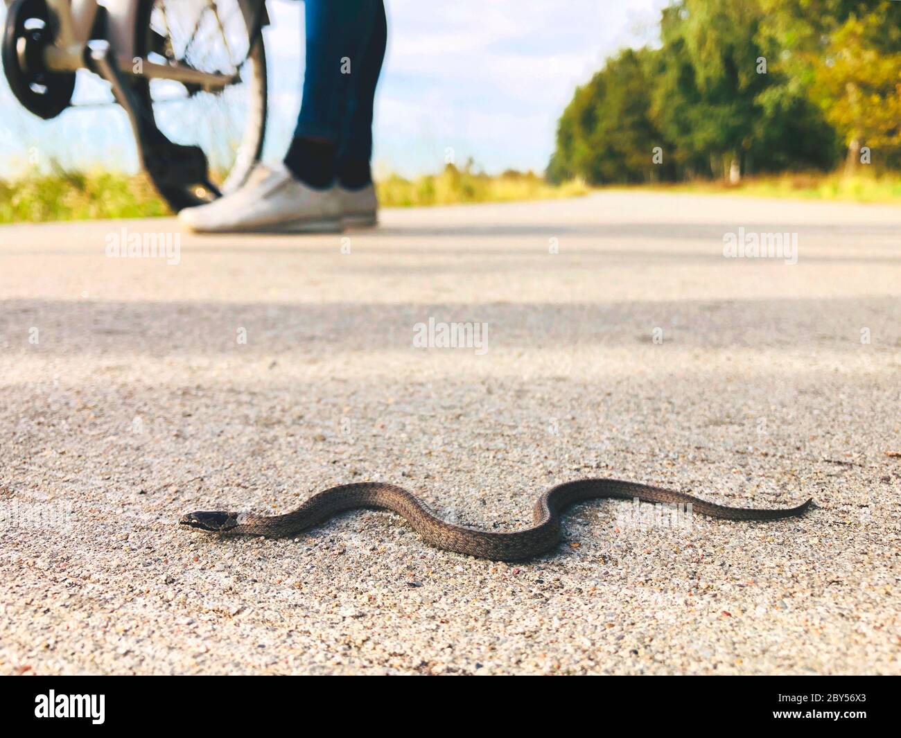 Snake path hi-res stock photography and images - Alamy