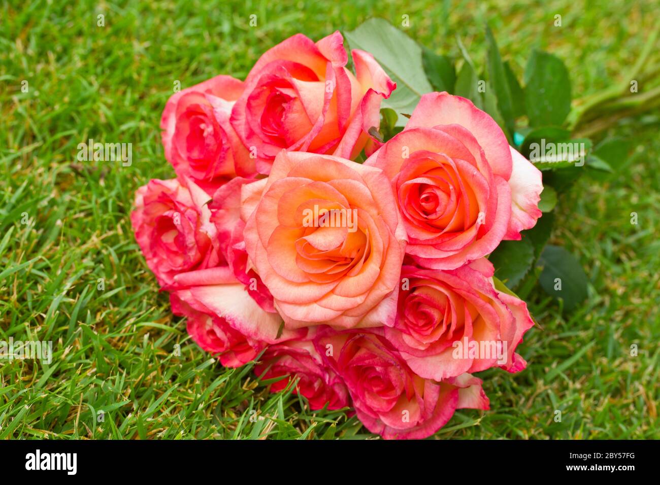 round bouquet of pink roses Stock Photo - Alamy