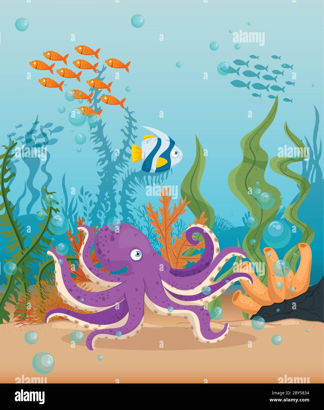 Common Octopus Habitat