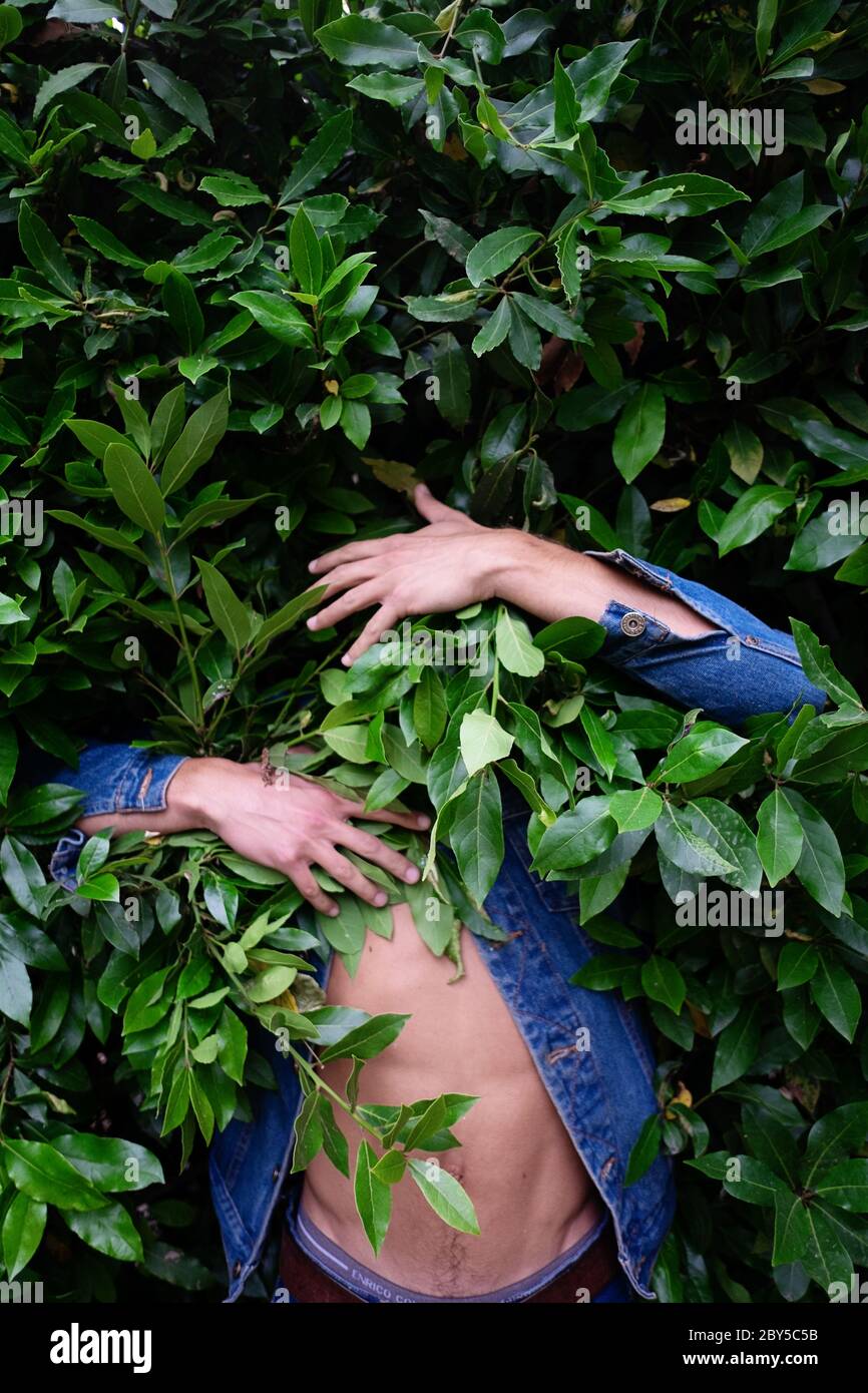 A Young guy hidden in green bushes Stock Photo - Alamy