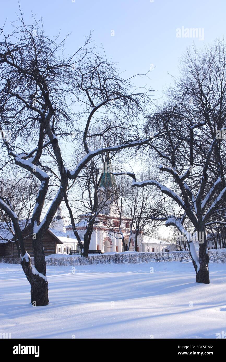Solar Winter Day in Park Kolomenskoe Stock Photo - Alamy