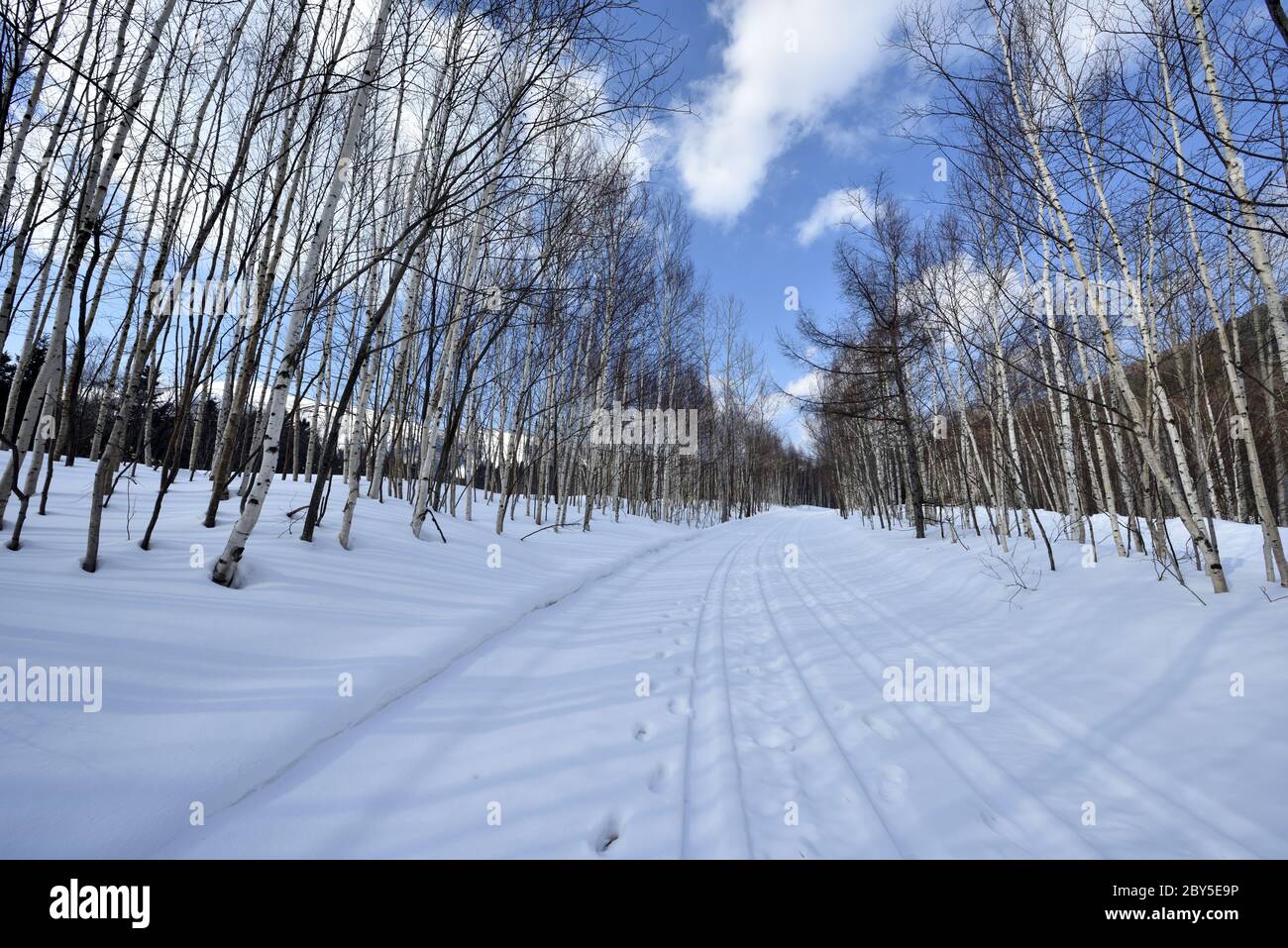 Winter in Hokkaido Japan Stock Photo - Alamy