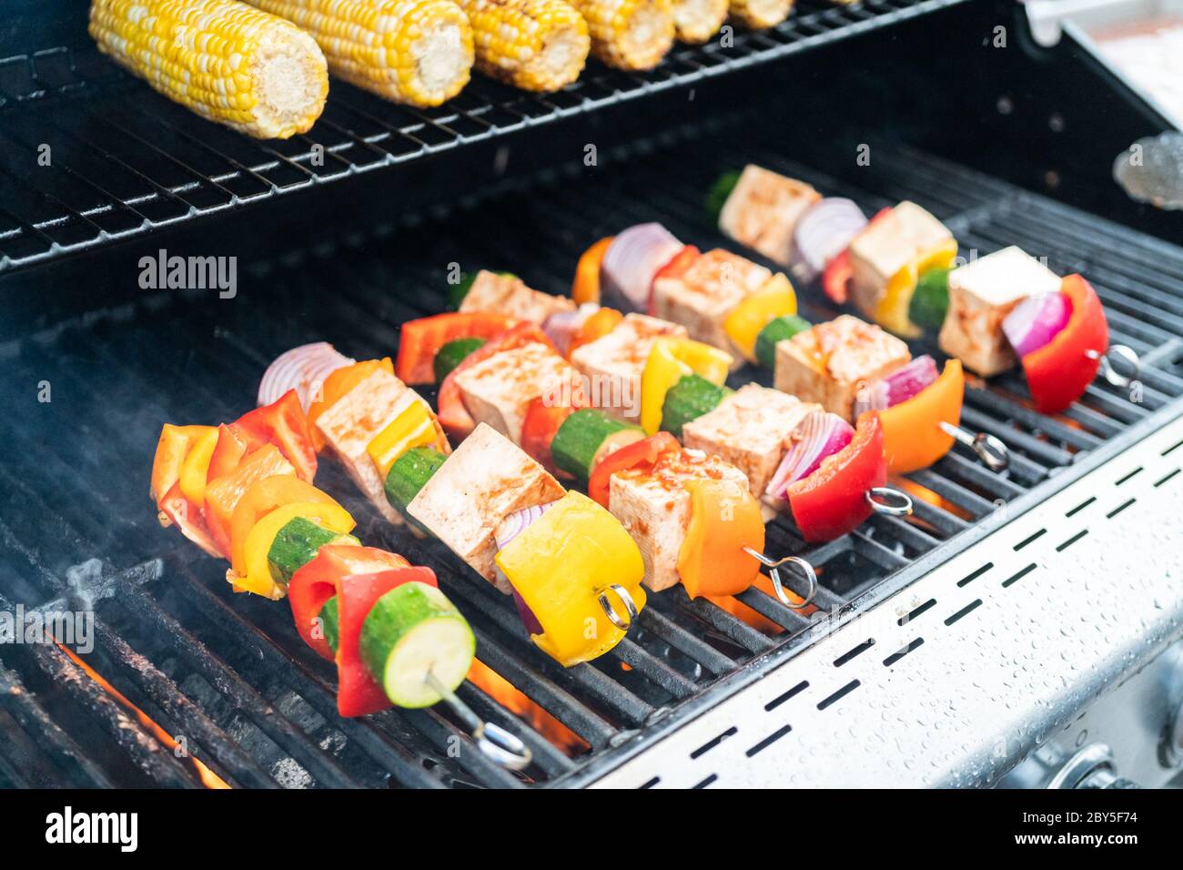 Grilling vegetarian tofu kebab with vegetables marinated in spicy sauce ...