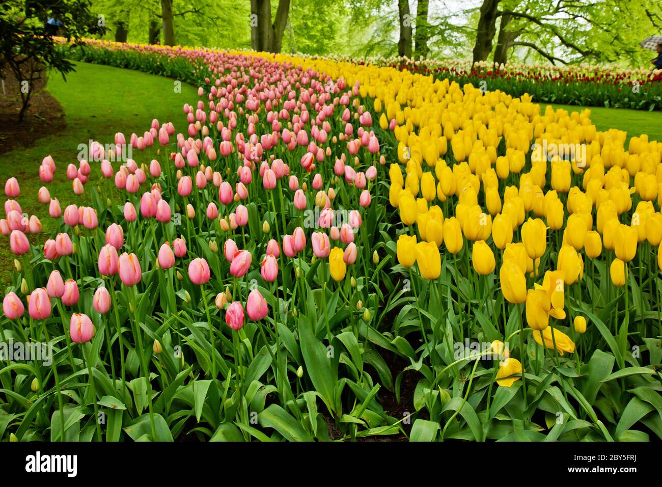 Colorful flowerbeds hi-res stock photography and images - Alamy