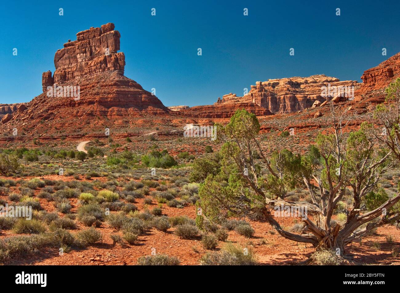 Sandstone rock formations at Valley of the Gods, Bears Ears National ...