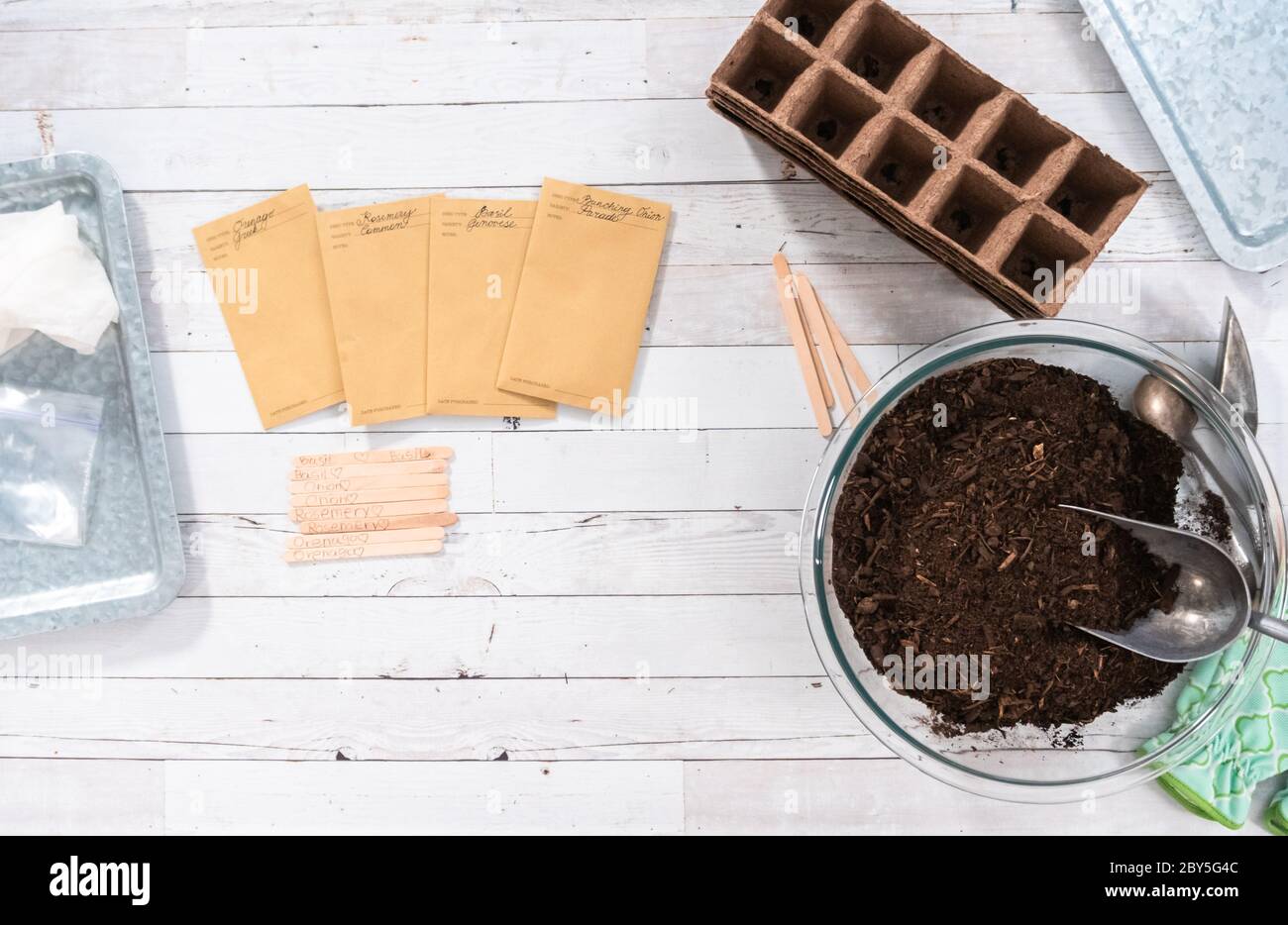 Flat lay. Planting seeds into peat moss pots to start an indoor ...